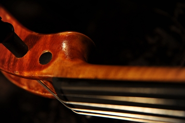 Negroni Massimo 1981 Violin Cremona ｜ ネグローニ バイオリン