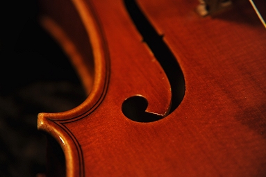 Negroni Massimo 1981 Violin Cremona ｜ ネグローニ バイオリン